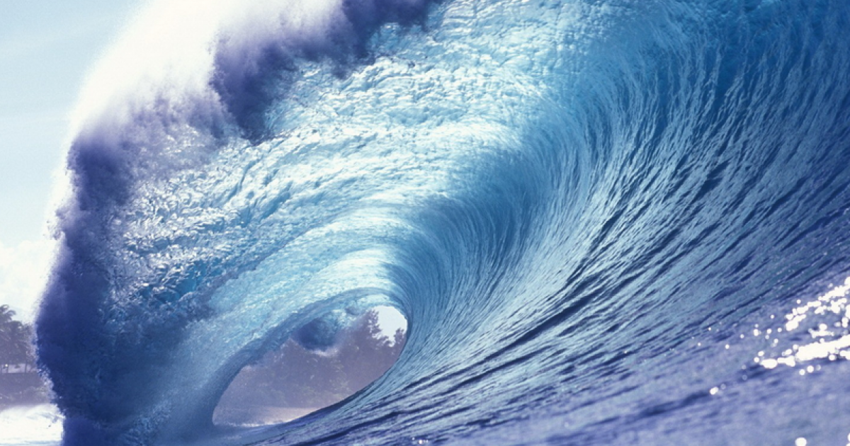 Does some “wave-function of the cosmos” explain all contingent facts?